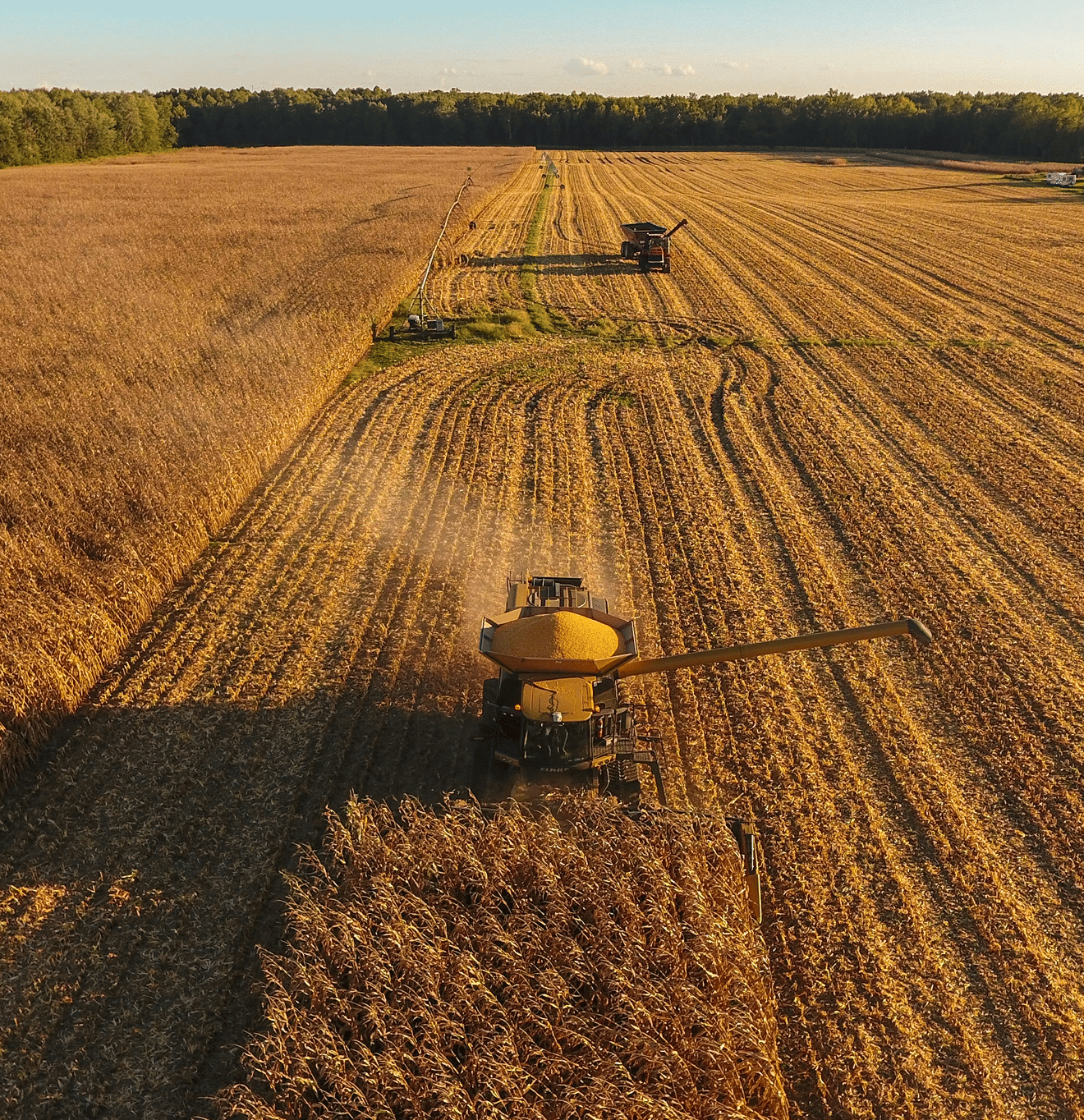 Spring Clips | Spring Clip Manufacturers | Circlips